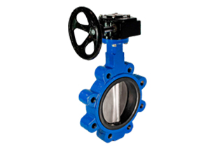 Shenco Valves Pvt. Ltd.