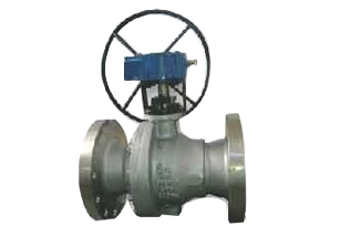 Shenco Valves Pvt. Ltd.