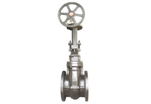 Shenco Valves Pvt. Ltd.